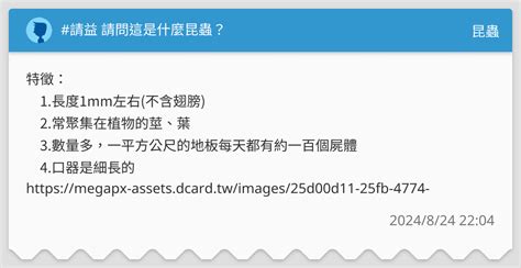 請益 請問這是什麼昆蟲？ 昆蟲板 Dcard
