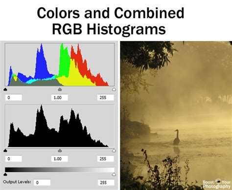 Demystifying The Histogram Histogram Composition Photography Photography Tutorials