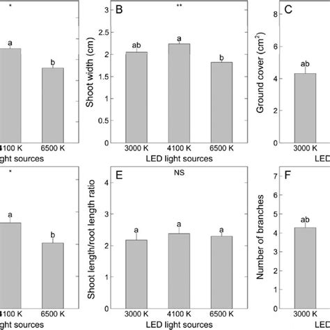 Relative Spectral Power Distribution Of White Leds With Different Color