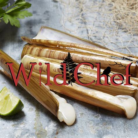 The Wild Chef By Ross Harvey Indiegogo