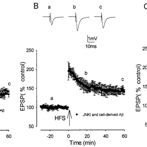 A Mediated Inhibition Of Ltp Induction Is Prevented By Jnk Inhibitors