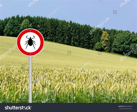 27 707 Warning Signs In The Forest Images Stock Photos Vectors