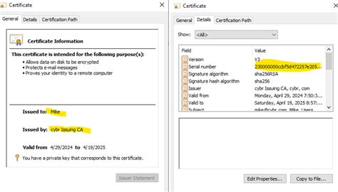ccp client certificate how to troubleshoot certificate authentication