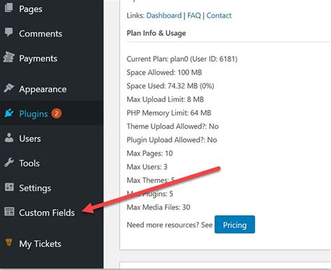 How To Add Custom Field In Wordpress