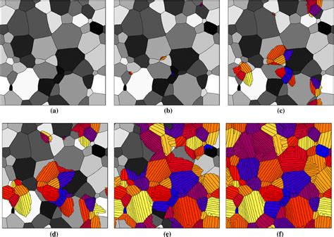 Initial Polycrystalline Austenitic Microstructure A And Growth Of Download Scientific Diagram