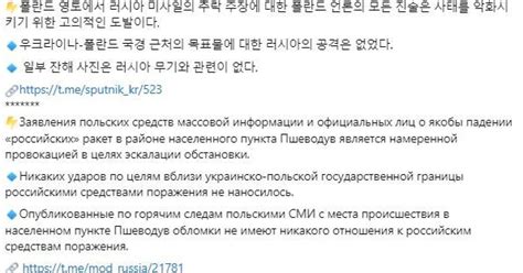 각국 주재 러시아 대사관 Sns 통해 폴란드 공격 안했다”