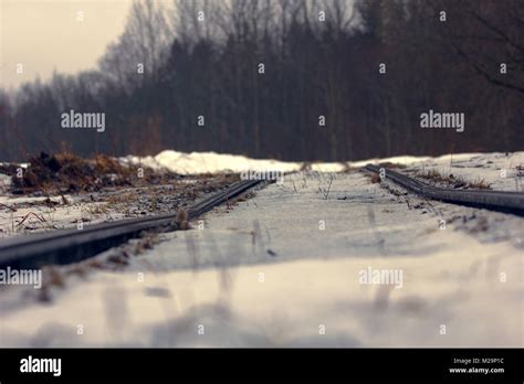 Narrow Gauge Railroad Dolly Way In Logging Remains Of Camps For Political Prisoners Stalins