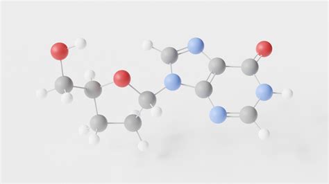 What Are Nucleoside Analogs