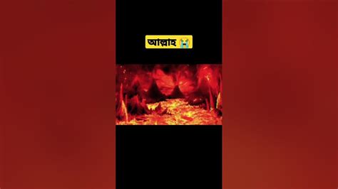 হে আল্লাহ সমস্ত মোসলমান ভাই বোনদেরকে পাঁচ ওয়াক্ত নামাজ পড়ার তৌফিক দান