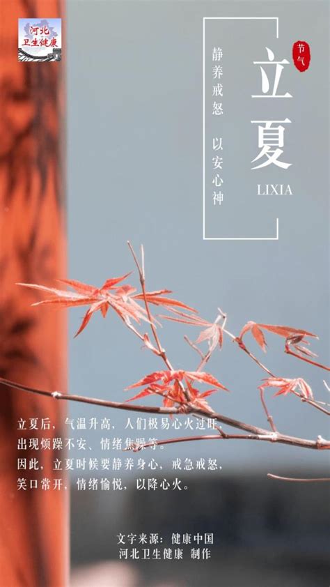 健康日历 立夏时节 顺应天时 学会养心 澎湃号政务 澎湃新闻 The Paper