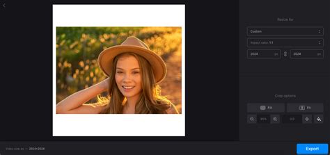 Aspect Ratio Vs Resolution Clideo