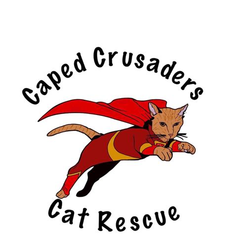 Adoptable Cats Caped Crusaders Cr