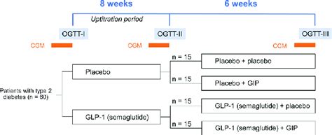 Study Design CGM Periods Are Days Long CGM Continuous Glucose Download Scientific Diagram