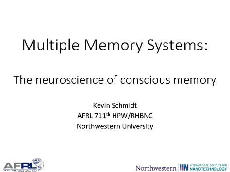 Multiple Memory Systems The Neuroscience Of Conscious Memory