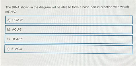 solved the trna shown in the diagram will be able to form a