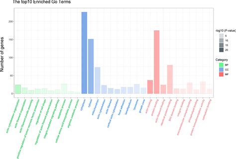 Ontological Analysis Of The Deps Classification Of The Deps Based On