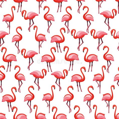 Pink Flamingo Seamless Pattern On White Background Stock Vector