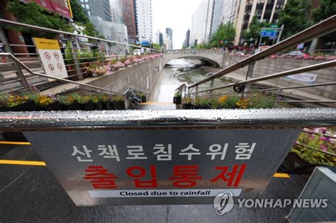 서울 전역에 호우주의보27개 하천 전부 통제 나무뉴스