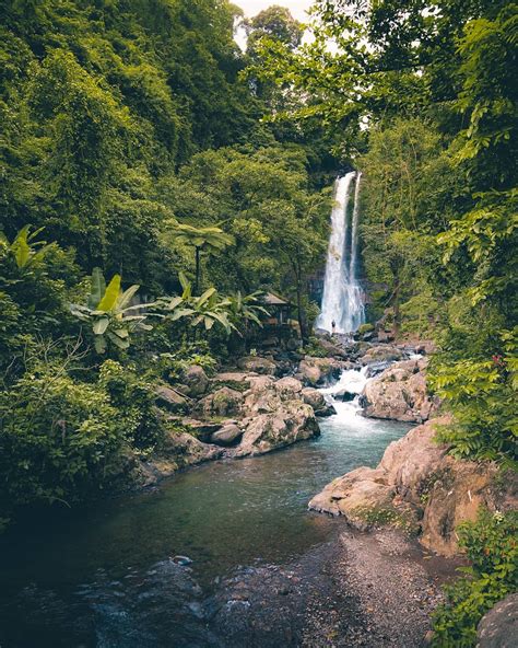 Gitgit Waterfall Singaraja Bali Tourist Guide Via Frozenblizzard