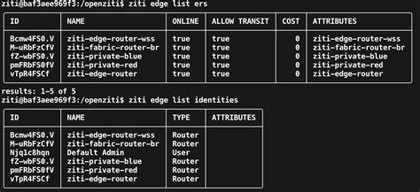 Update Quickstart Example Outputs · Issue 93 · Openzitiziti Doc · Github