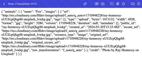 Integrating Contentful And Cloudinary To Build An Image Gallery