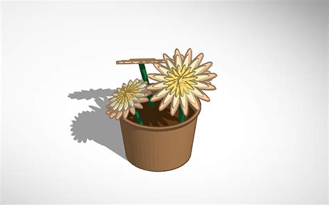 3d Design 8a7 Nhạc Tâm Như Tinkercad