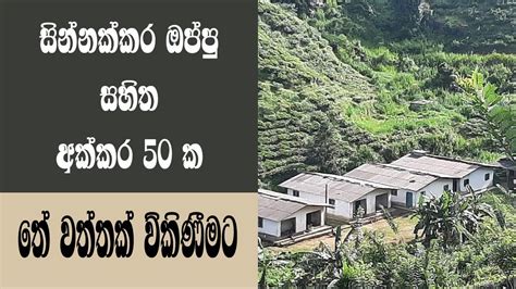 සින්නක්කර ඔප්පු සහිත අක්කර 50 ක තේ වත්තක් විකිණීමටa Beautiful 50