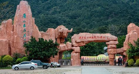 清远牛鱼嘴草泥马桃花禾雀花小北江飞来寺一天游 中航国旅官网