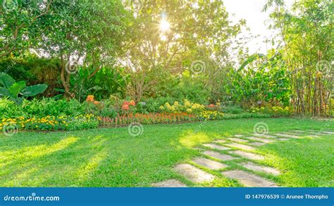 Grass Home Icon Stock Image 25841215