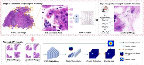 Precise Augmentation And Counting Of Helicobacter Pylori In Histology Image