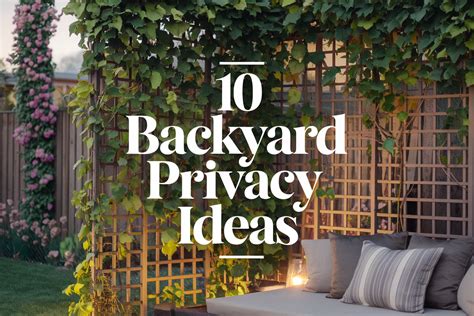 10 Creative Backyard Privacy Ideas To Block Out Neighbors