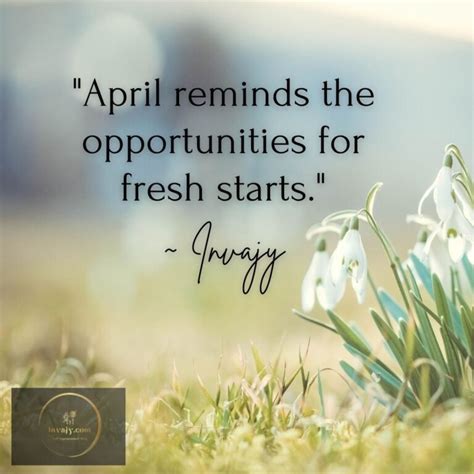 110 Oprah Winfrey Quotes To Empower You