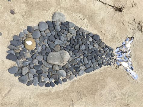 Free Images Beach Sand Rock Pebble Soil Fish Material Rocks