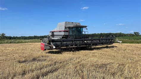Gleaner R72 Harvesting Rye Youtube