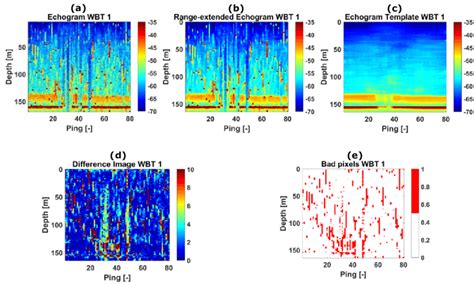 processing steps in bad pixel detection example input echogram a of