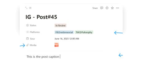 Notionsocial