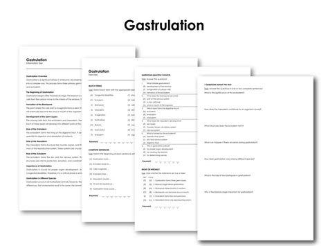Gastrulation Made By Teachers