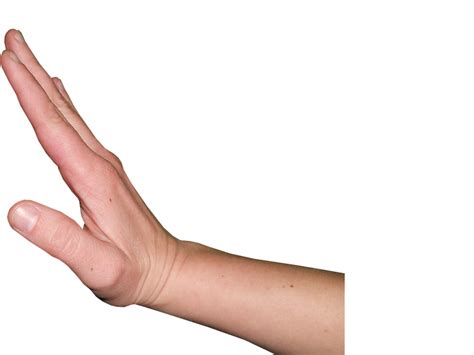 Download Hand Gesture Stop Wait Royalty Free Stock Illustration