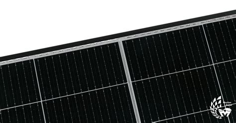 Twisun 390w 410w Dual Glass Black Frame Pv Module Perc 210mm 120cells