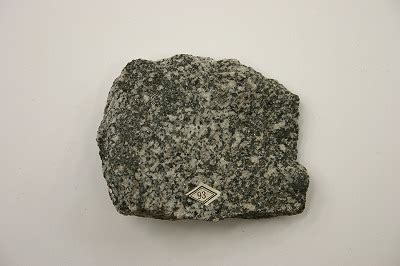 角閃片麻岩 Amphibole gneiss 島根大学標本資料類データベース