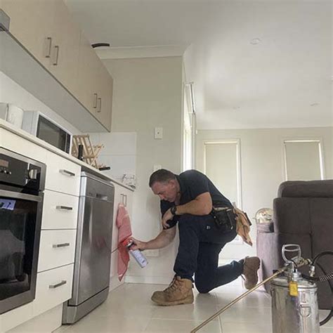 Termite Barrier Services Across Moreton Bay Qld Frp