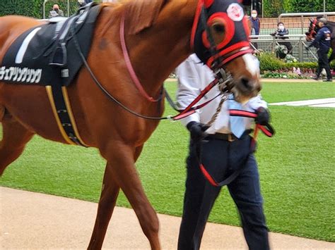 【my厩舎】今週末は真夏の新潟カーニバル アラカン優優の一口馬主ライフ