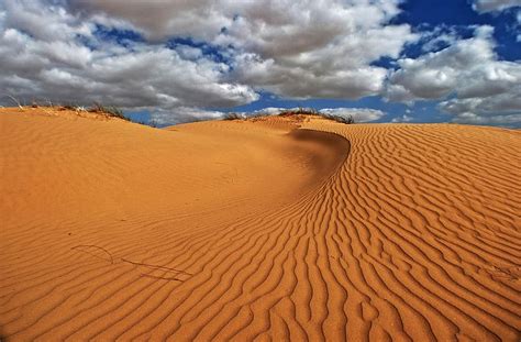 الكثبان الرملية ، رمال ، المناظر الطبيعيه ، تموجات ، جاف ، صحراء