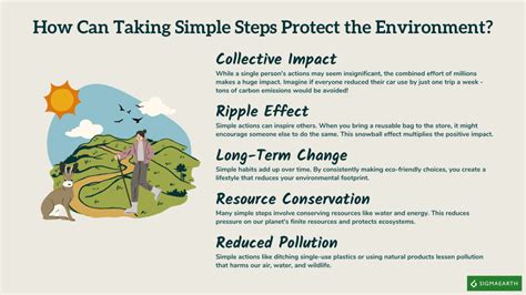 How To Protect The Environment Simple Steps For Everyday Impact
