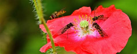 News Toxrat Solutions Gmbh