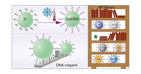 Universal Click Chemistry Approach For The Dna Functionalization Of Nanoparticles Journal Of