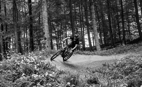 Bea E Framer Swiss Premium E Bikes