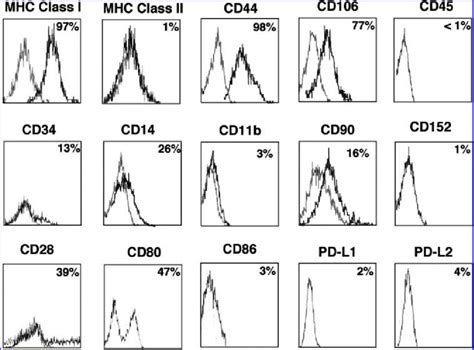 Immunophenotype Of Mesenchymal Stem Cells Mscs Shown Is The