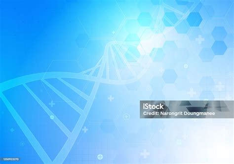 Dna 나선형 분자 추상 다각형 와이어프레임 Dna 분자 나선 나선형 의학 유전 생명 공학 화학 생물학 유전자 세포 개념 벡터