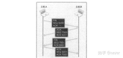 tcp与udp 知乎